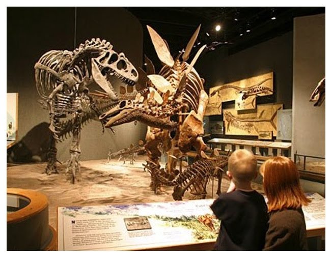 Denver Museum of Nature and Science in Colorado - Travel Book
